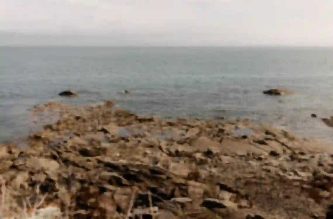 About us | James Joyce Tower